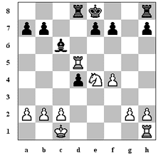 Attacking the Guard - Checks to Drive the King Away from Guard Duty ...